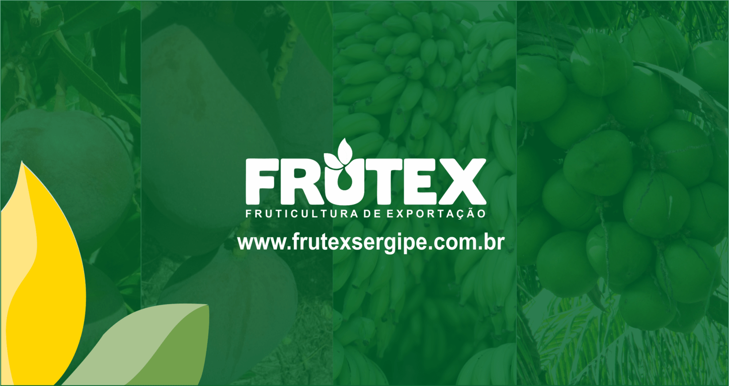 FRUTEX FRUTICULTURA DE EXPORTAÇÃO LTDA - Manga Palmer | Mercado CNA