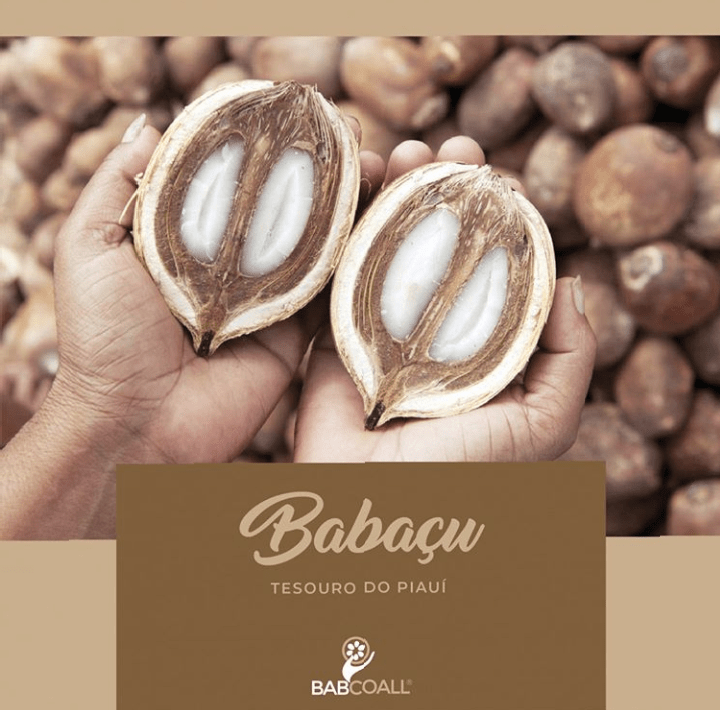 BABCOALL INC. DO BRASIL LTDA - Azeite de coco babaçu | Mercado CNA
